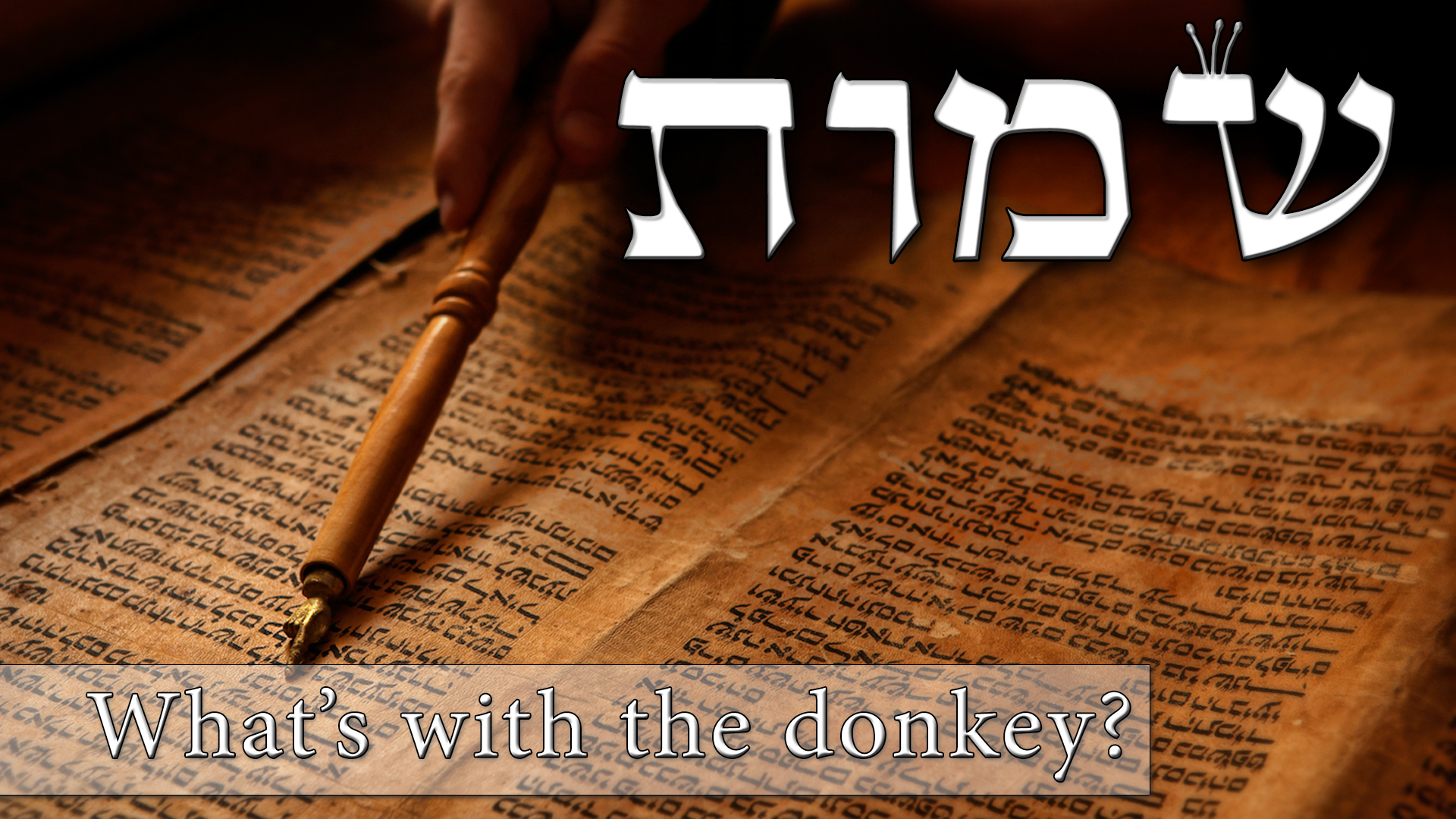 Parashat Shemot - What's with the donkey? - Atzmut