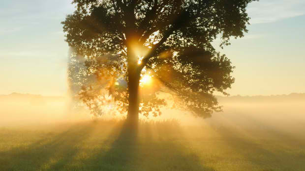 The deep message of Kabbalah on the 17th of Tamuz - Atzmut